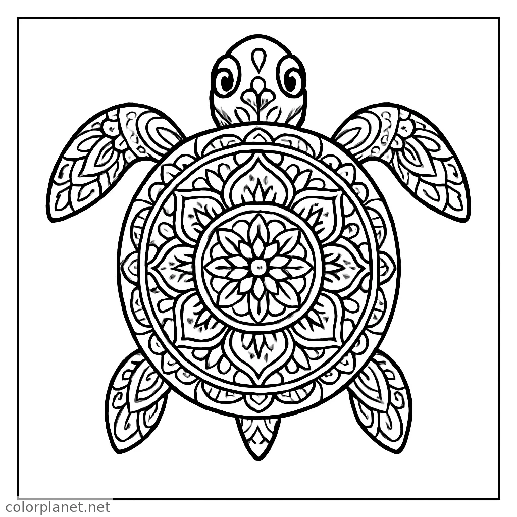 Mandala de Tortuga página para colorear gratuita - ColorPlanet